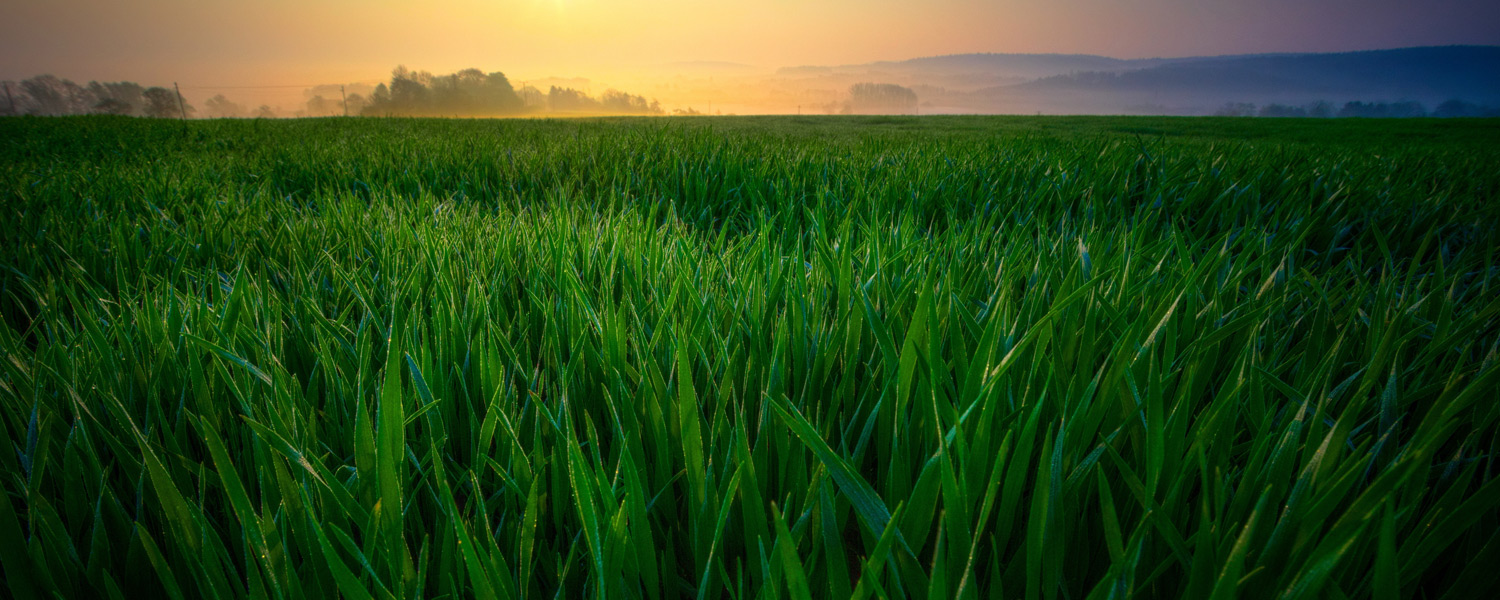 ABILIS – consutores de empresas